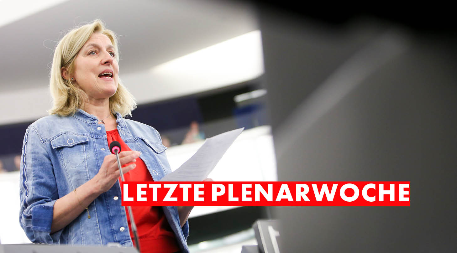 Eine wichtige Woche im Europaparlament - Evelyn Regner Evelyn Regner
