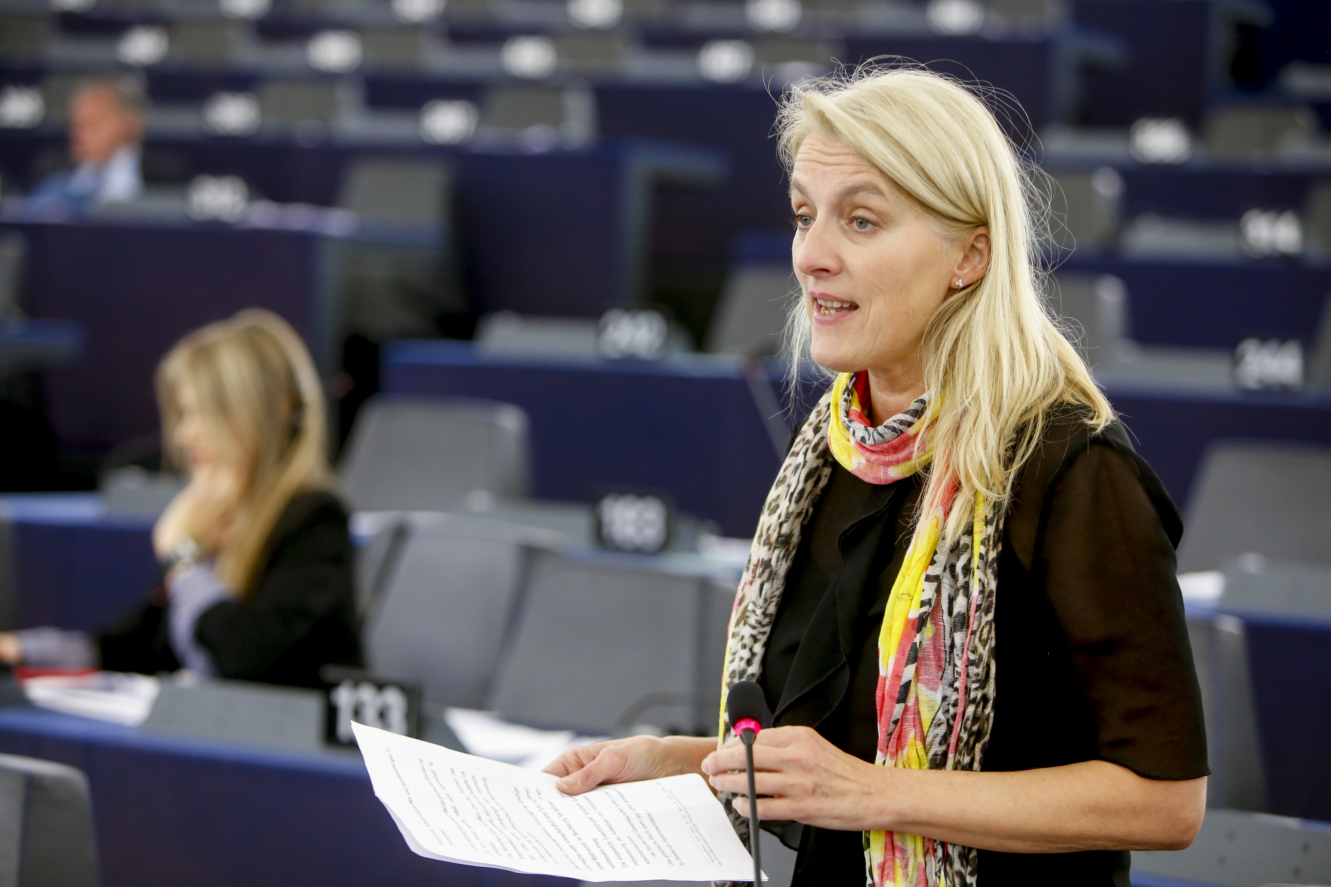 Öffentliche länderweise Berichterstattung - Teil 2 - Evelyn Regner ...