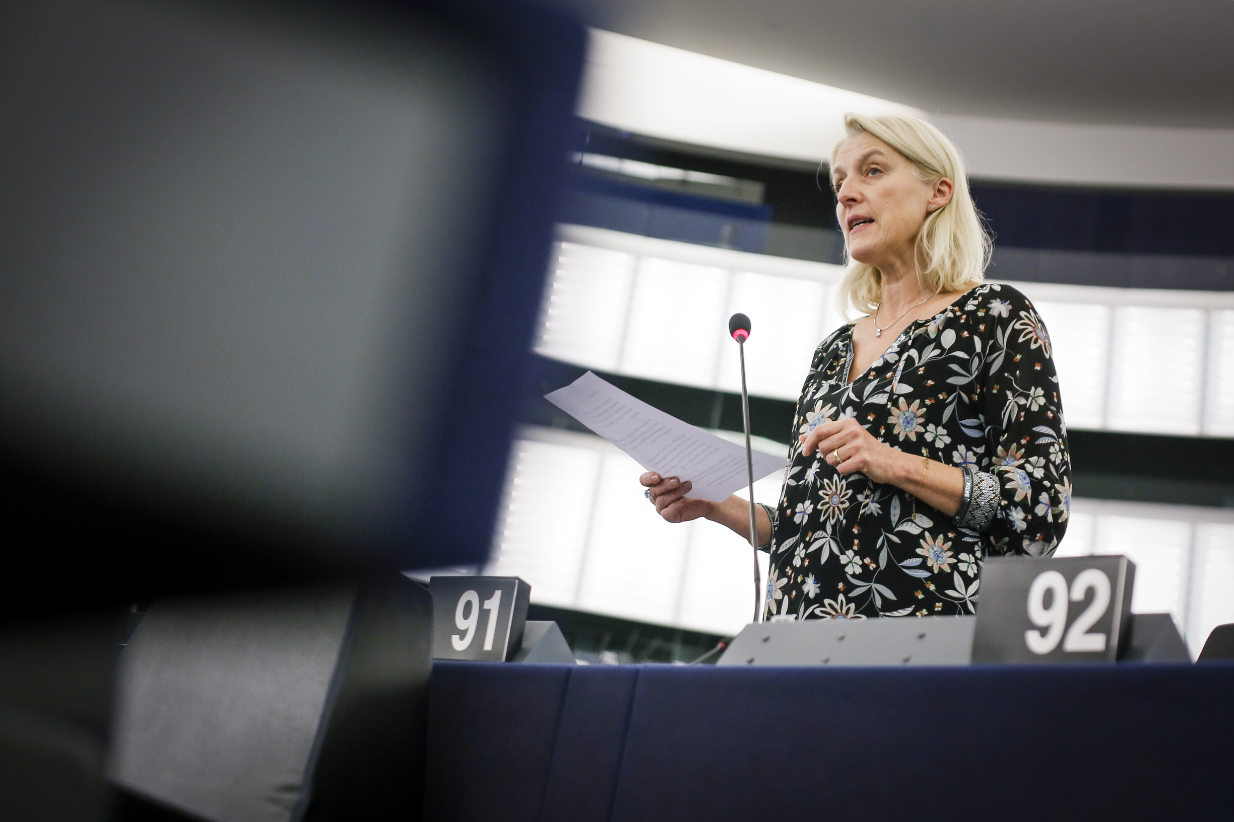 Europa muss mehr als nur die Außengrenzen schützen! - Evelyn Regner ...