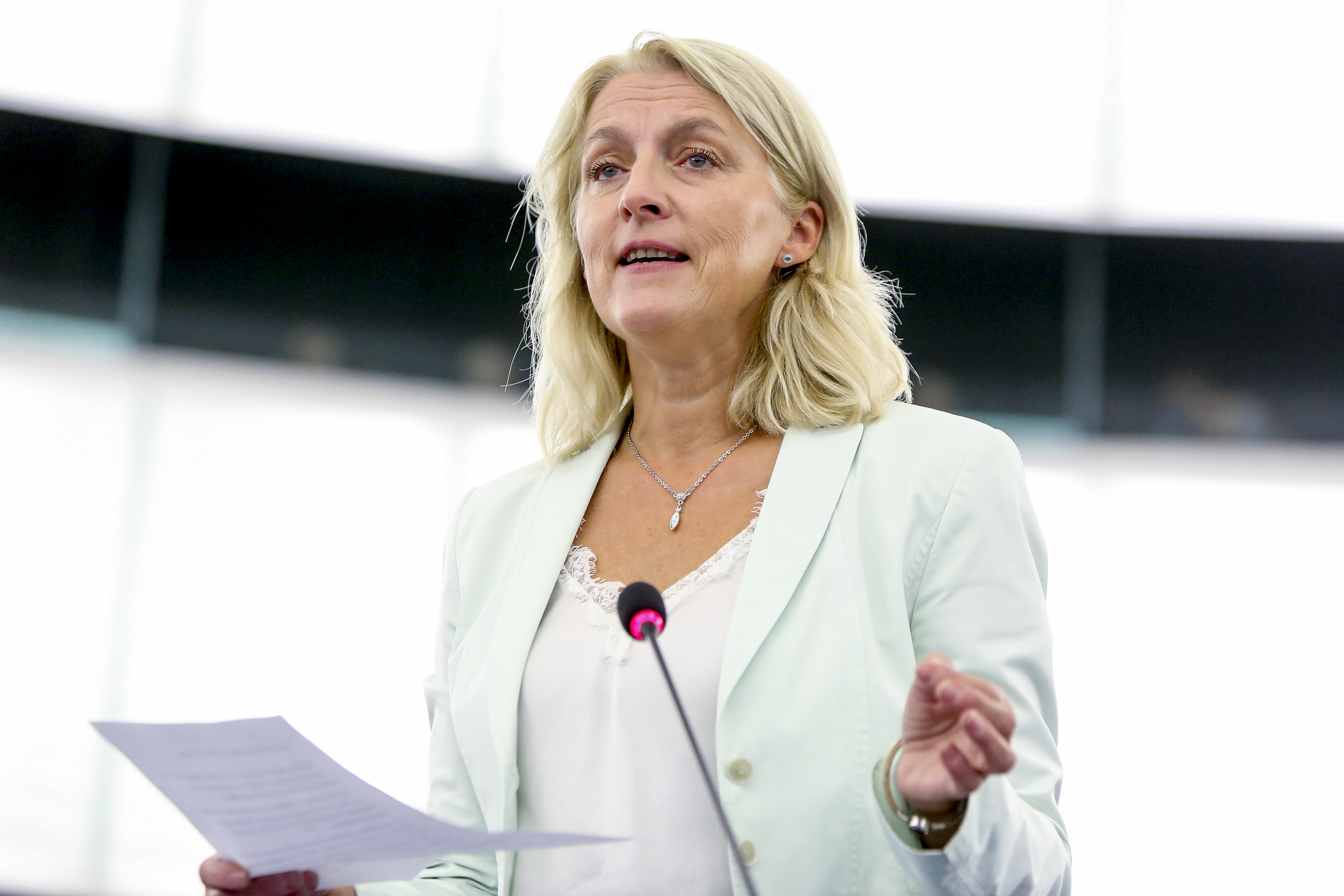 Meine Rede zum UN-Migrationspakt - Evelyn Regner Evelyn Regner