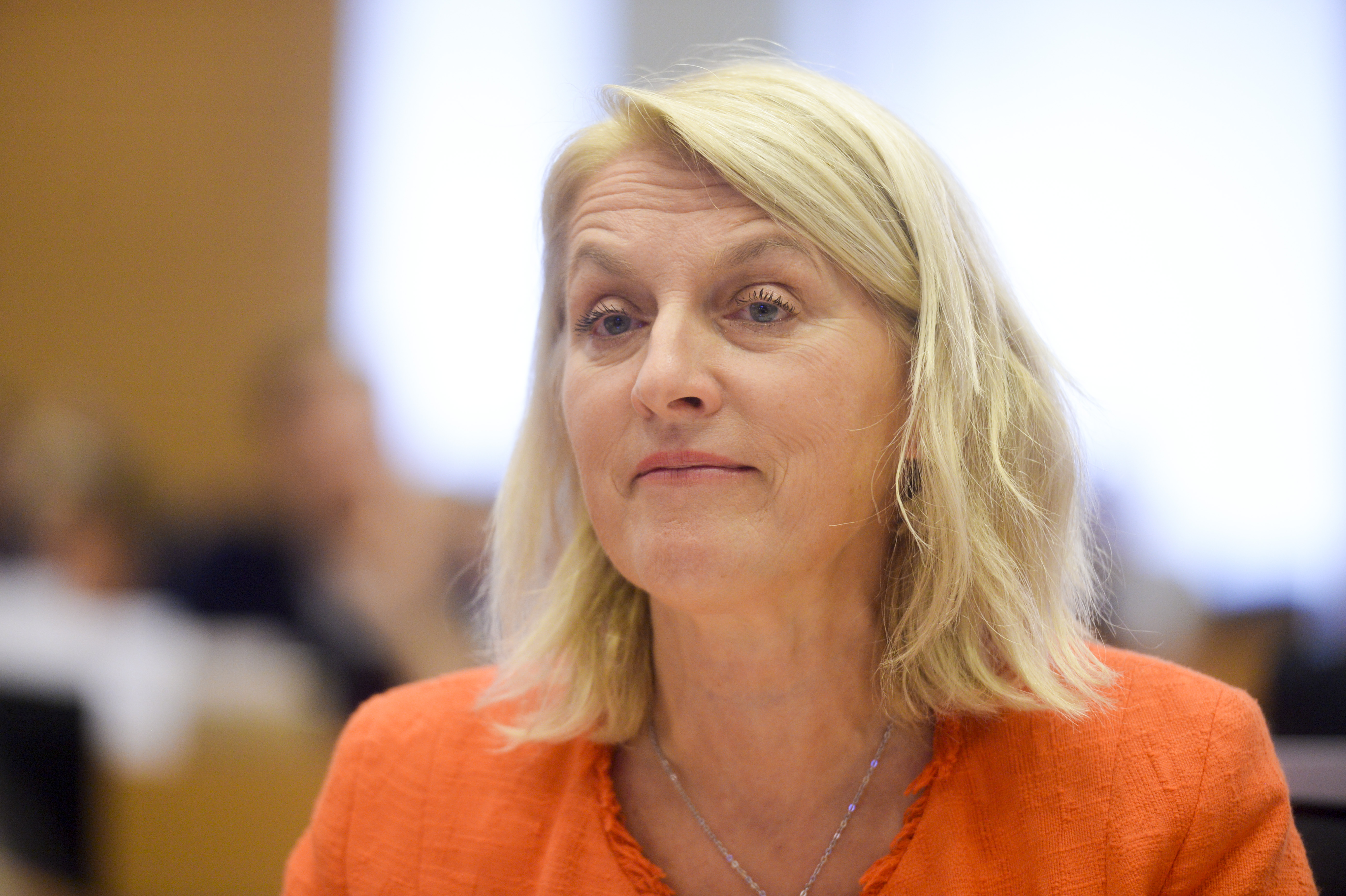 Eine sozialdemokratische Vision für Europa nach dem Brexit. - Evelyn Regner Evelyn Regner