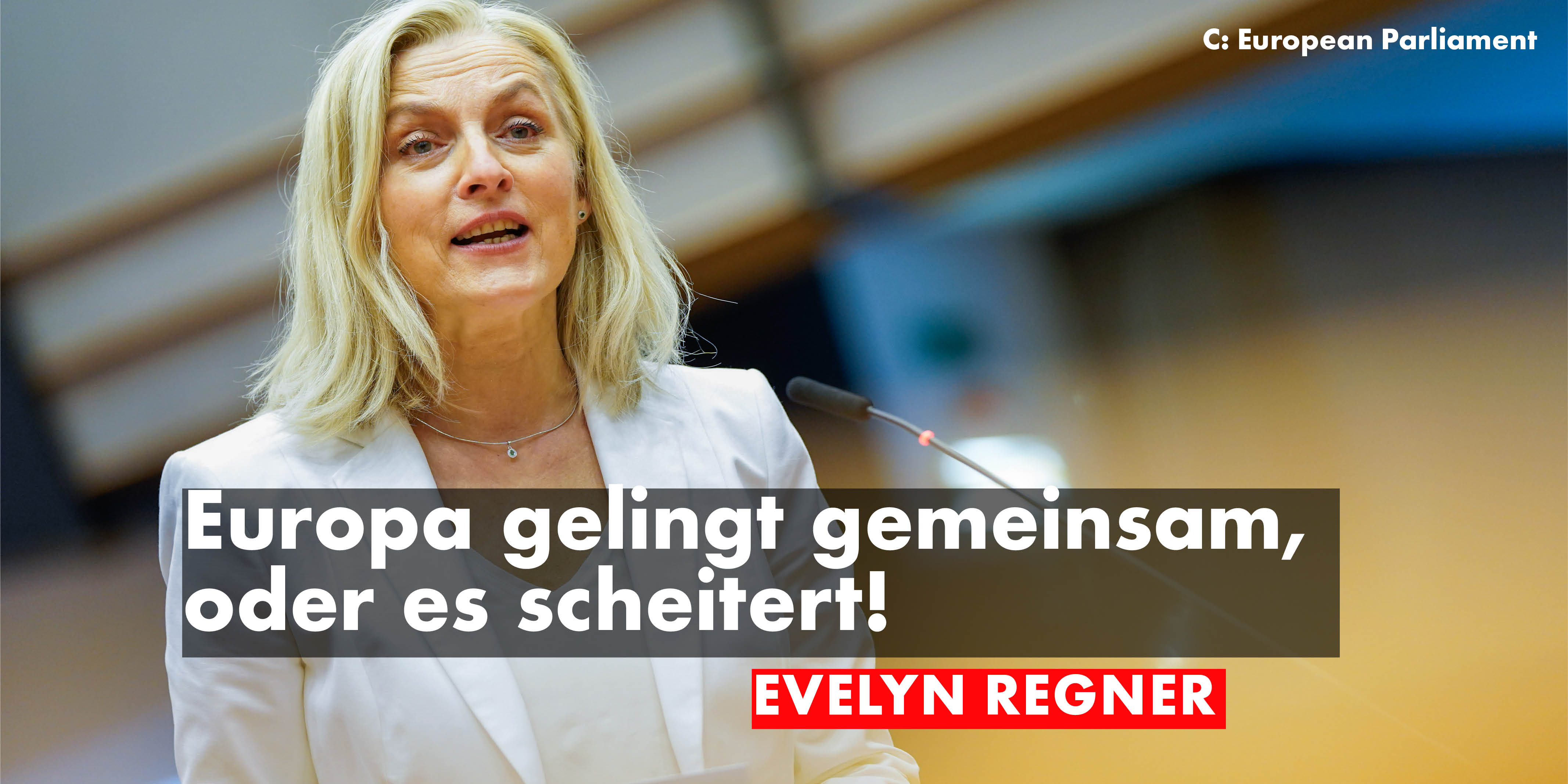 Schieder/Regner: Wichtiger Kompromiss weist Weg aus der Coronakrise - Evelyn Regner Evelyn Regner