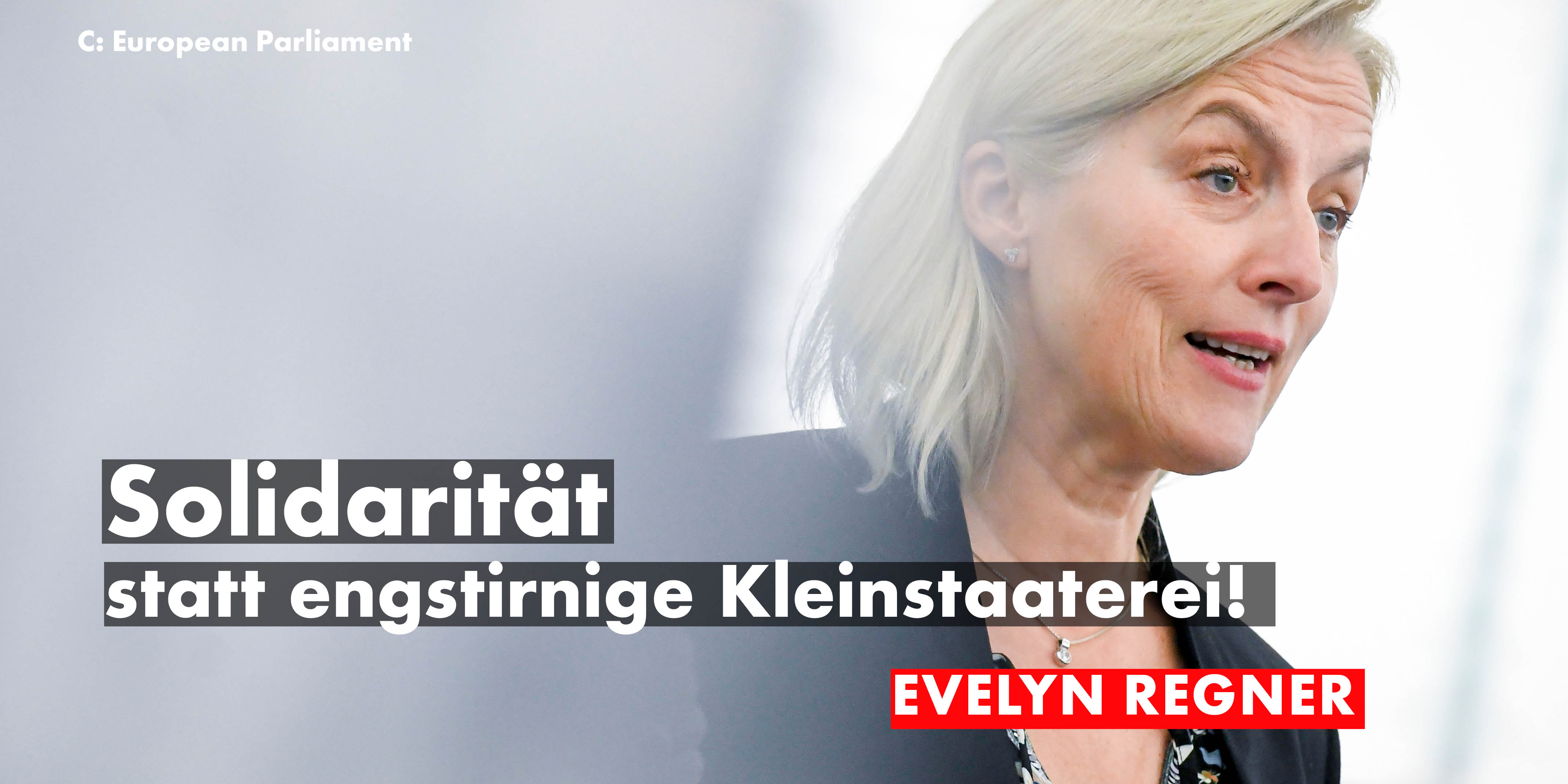 Regner: Neuen Integrationsschritt wagen - Gemeinsame EU-Anleihen im ...